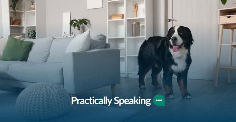 What should pet owners think about when buying or selling a property?